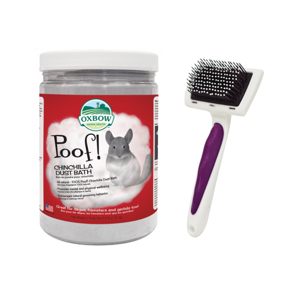 Small Animal Grooming – Healthy Pets HQ